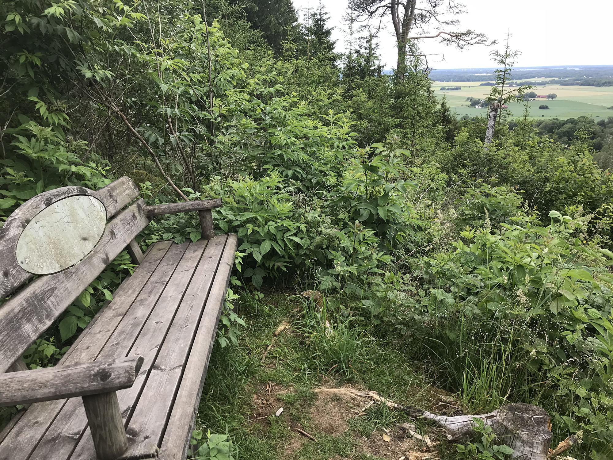 Utsikts- och rastplats, Hornborgasjön