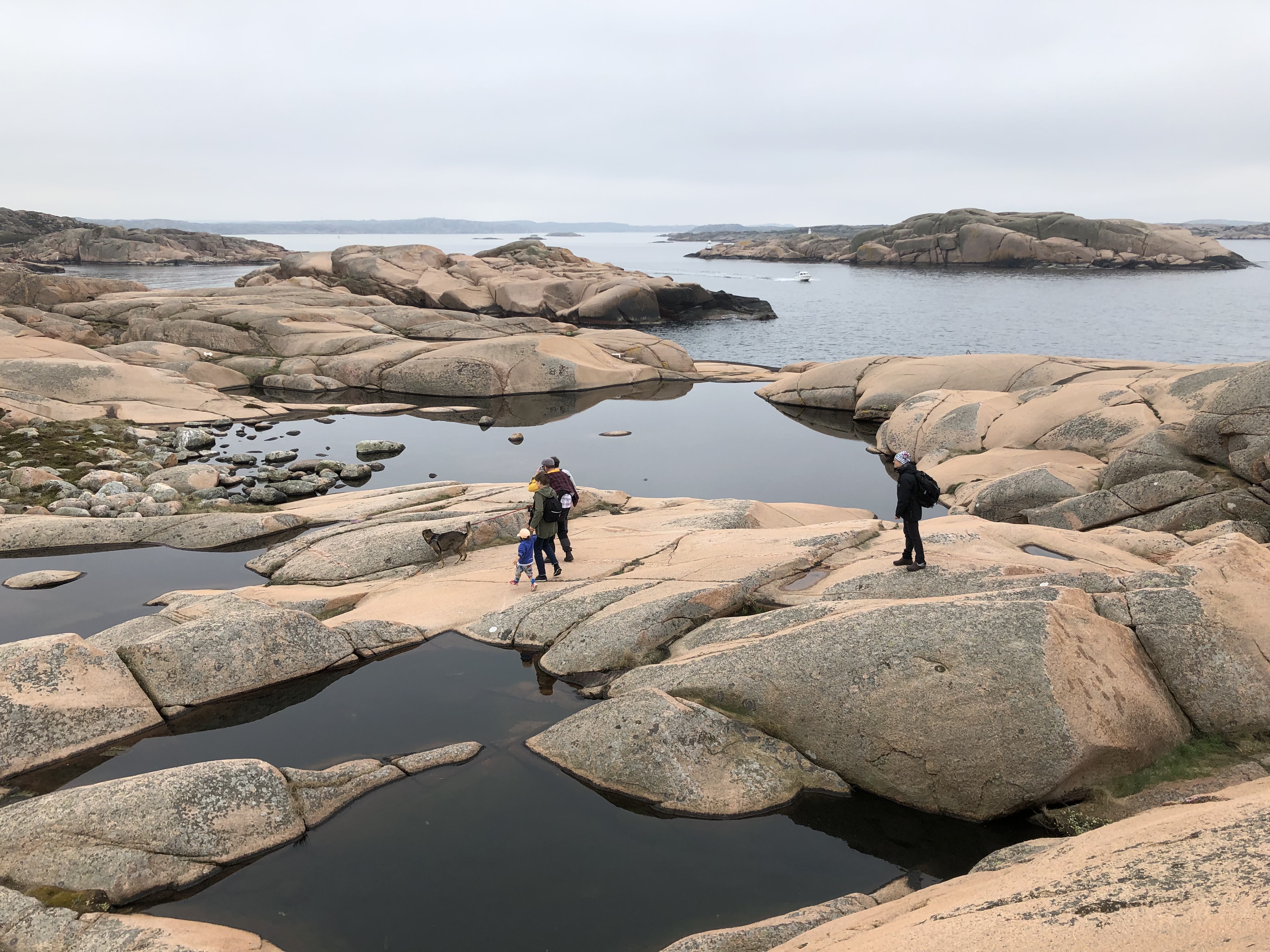 12. Lysekil-Skal