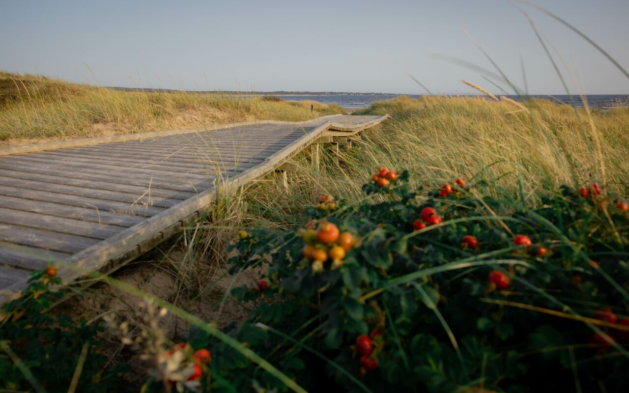 Haverdal - Tylösand