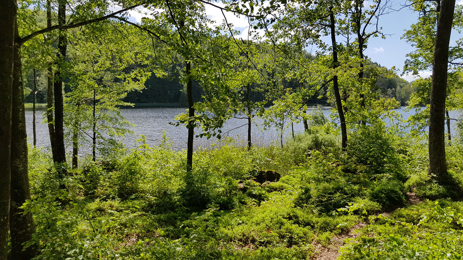 Veddige - Nösslinge