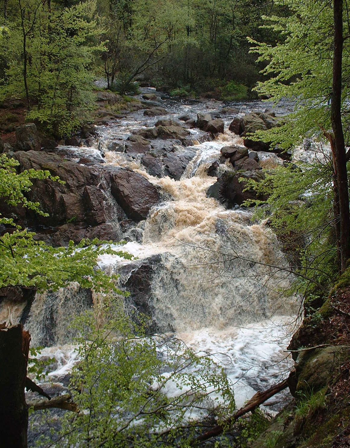 Vattenfall och naturreservat Danska fall/Waterfall and the Danska Fall ...