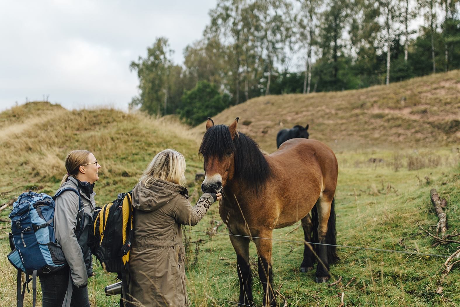 8 Verkasjön - Heinge