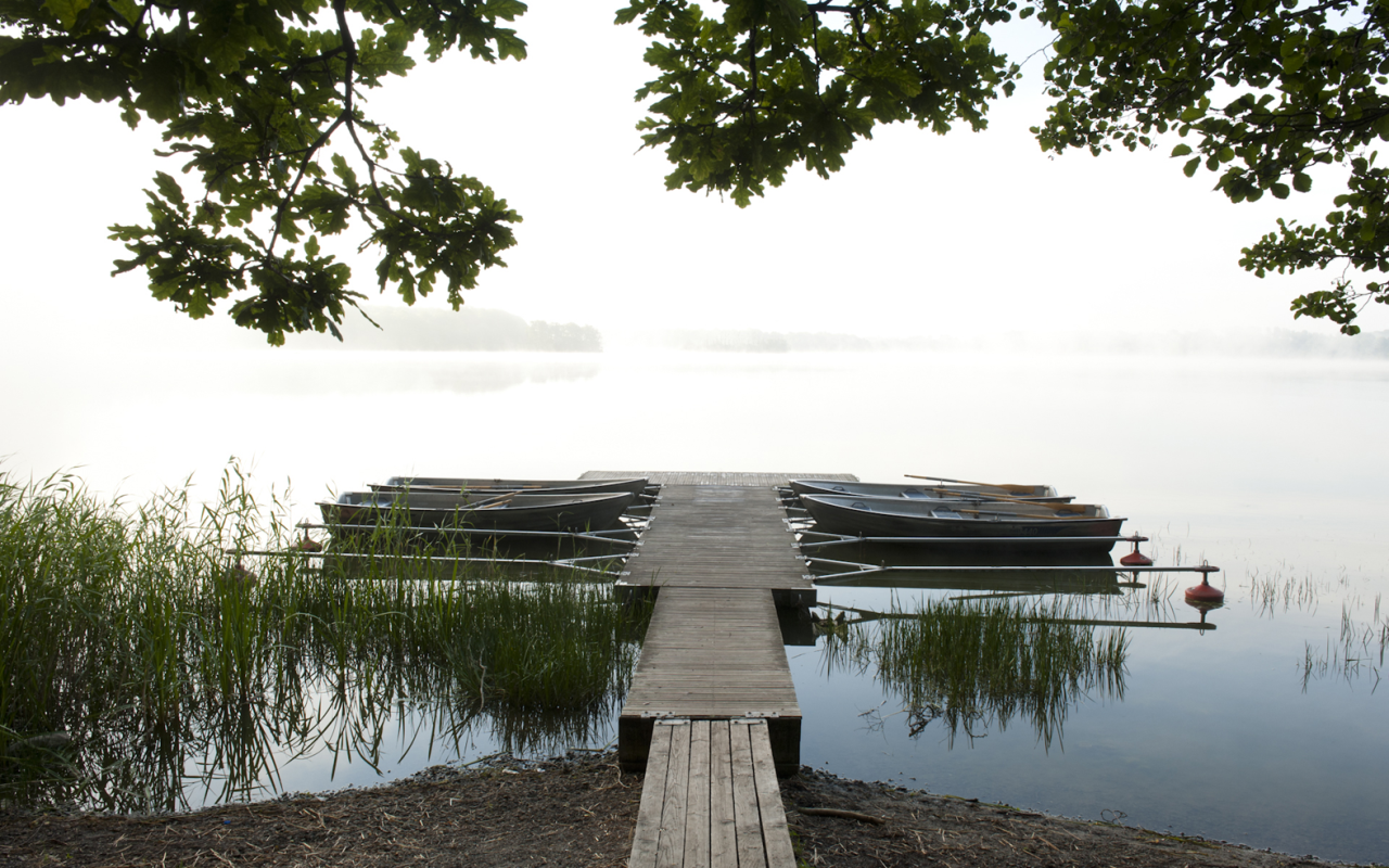 11 Vitabäck - Snogeholm