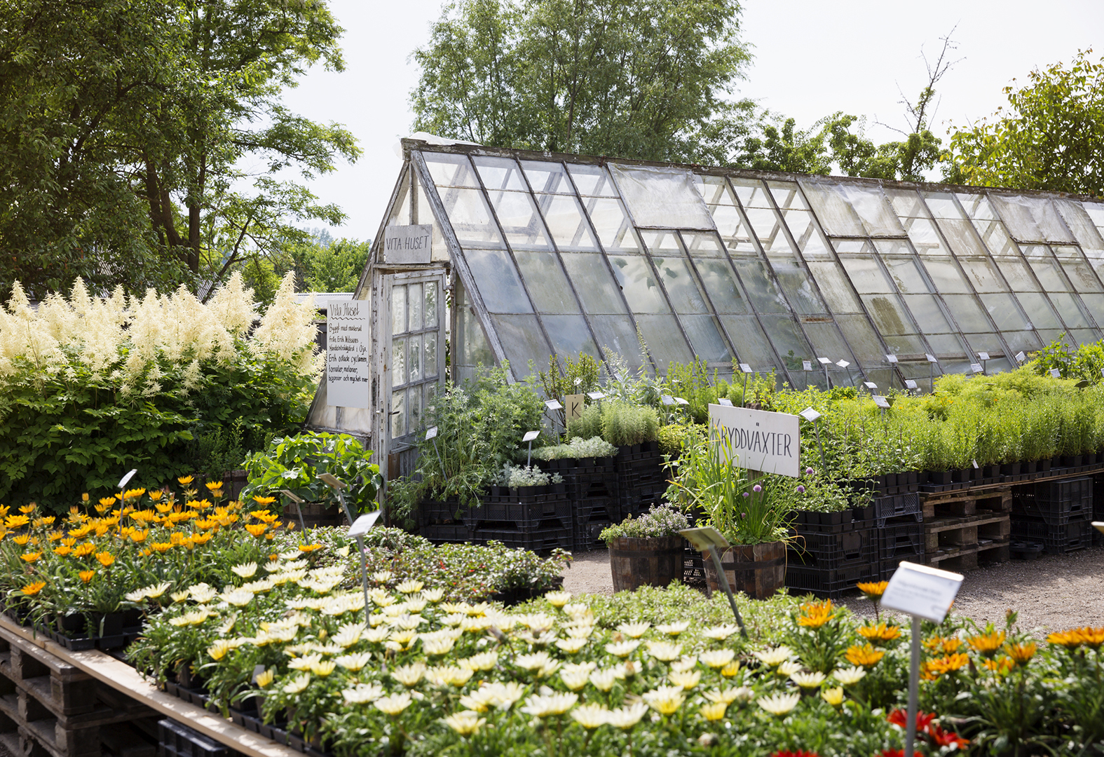 Trädgårdsguide längs Sydostleden och Sydkustleden | Sydostleden och ...