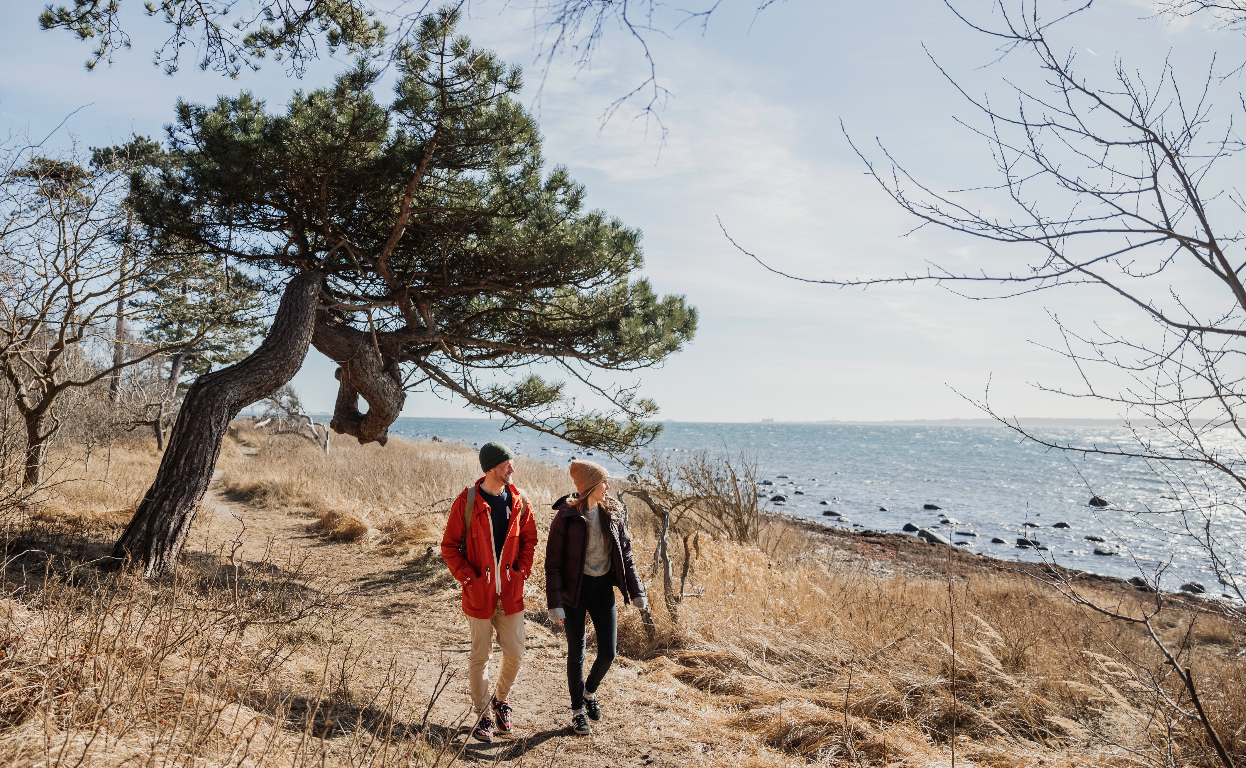 6 Domsten - Helsingborg