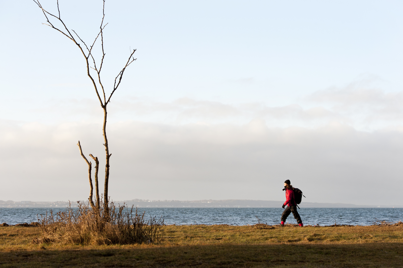 6 Domsten - Helsingborg