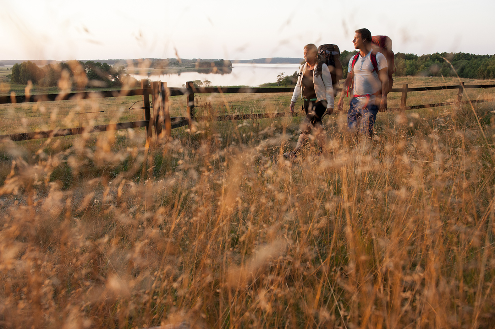 12 Snogeholm - Ystad